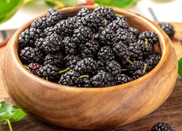 Karadut Pekmezi Neye İyi Gelir | Karadut Pekmezinin Faydaları Nelerdir?